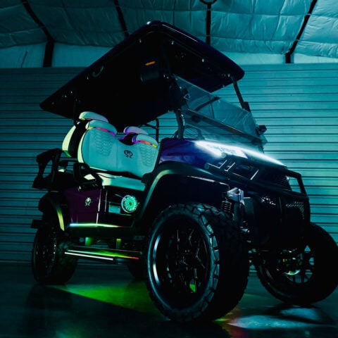 Stealth | Venom EV Carts