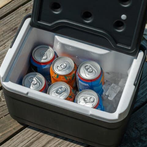 Stealth | Venom EV Carts