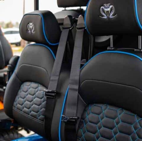 Stealth | Venom EV Carts