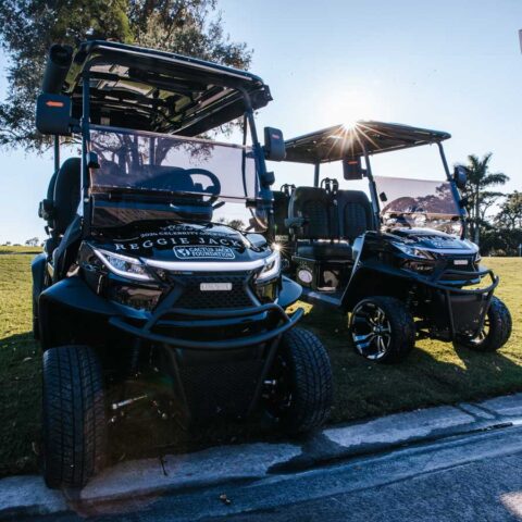 Stealth | Venom EV Carts